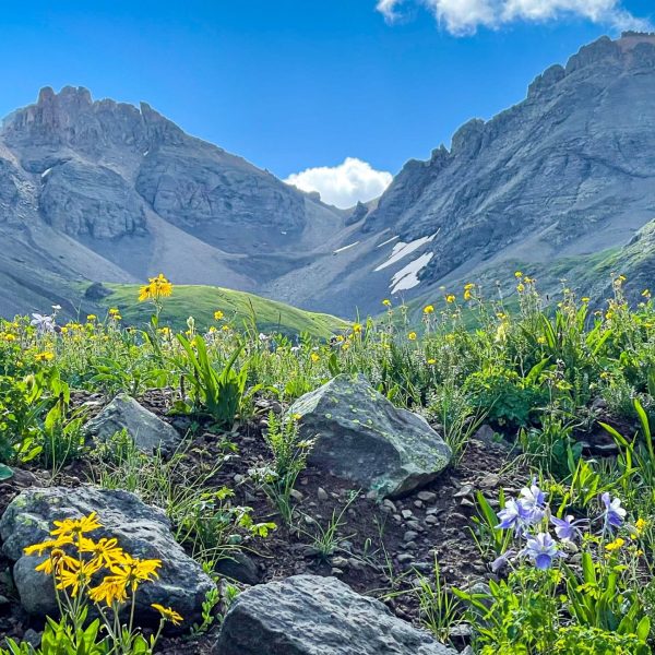 Telluride & Ouray Hiking Guides | Mountain Trip Trekking Colorado